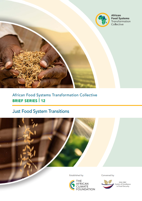 Just food system transitions - The African Climate Foundation