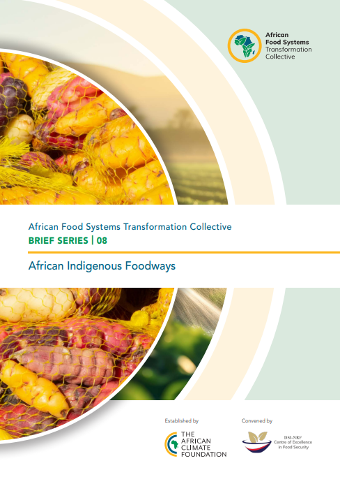 African Indigenous Foodways - The African Climate Foundation